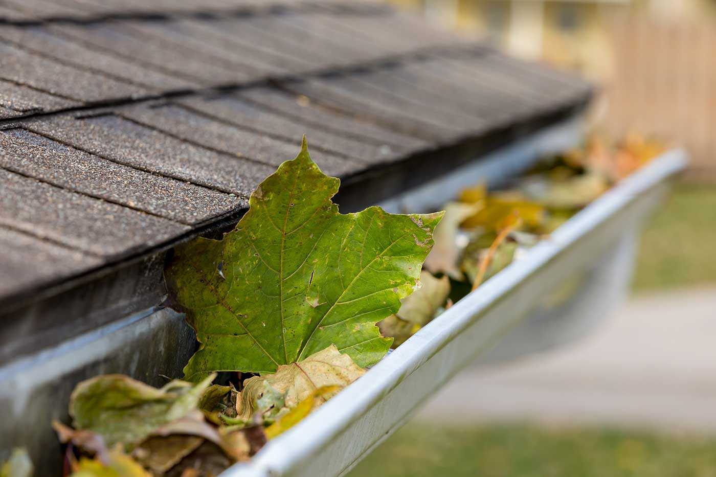 Gutter Services | Family Waterproofing