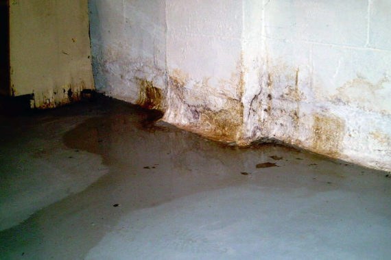 Top causes of basement moisture and how to fix… | Family Waterproofing